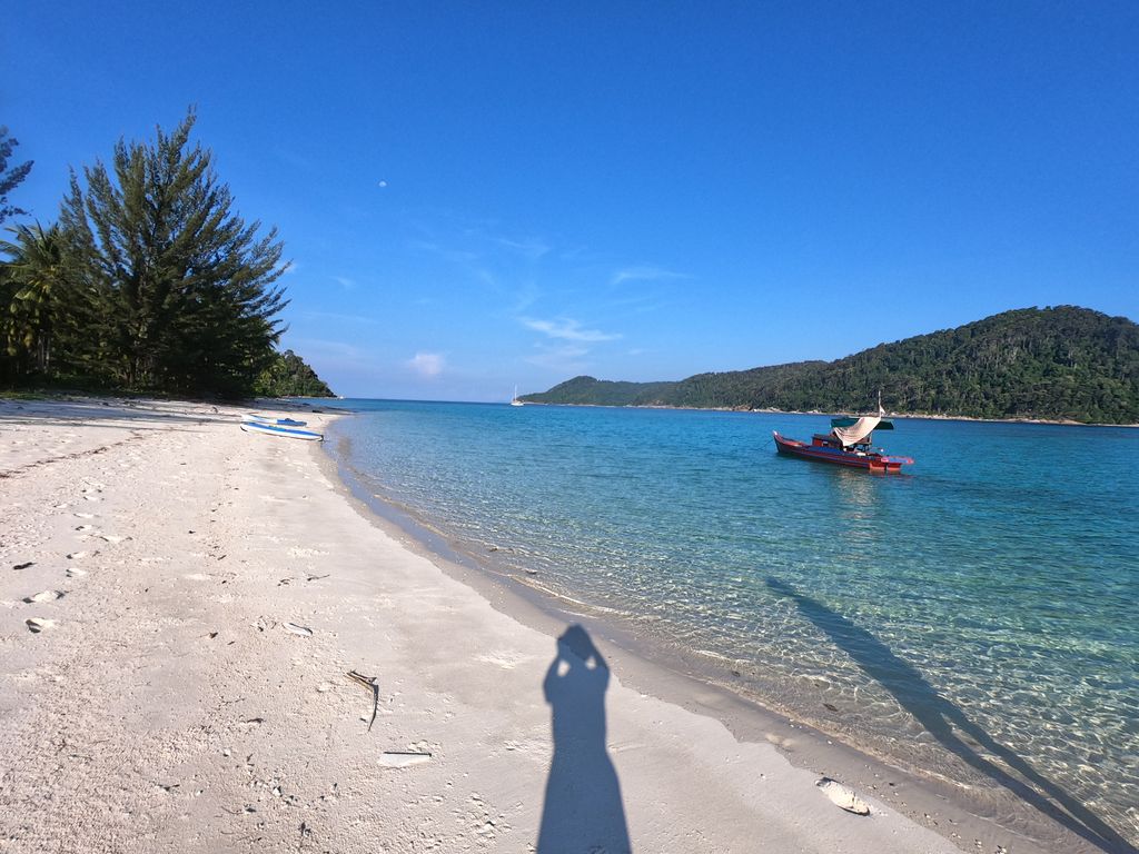 Les îles Anambas - Pulau Ayam - Javerne
